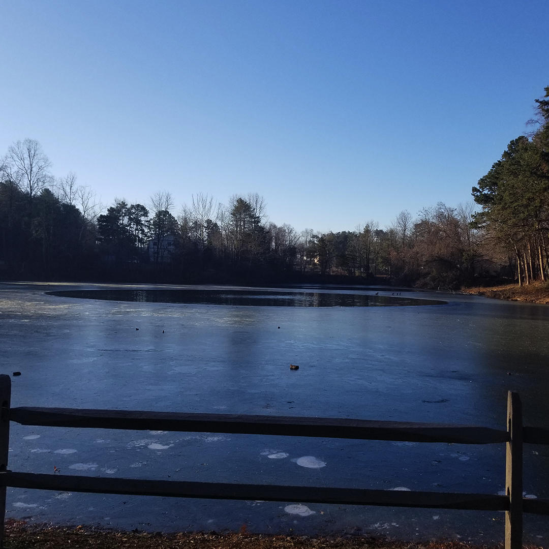 Do Aquatic Weeds Survive In Ponds In Winter? | Pond Lake Management