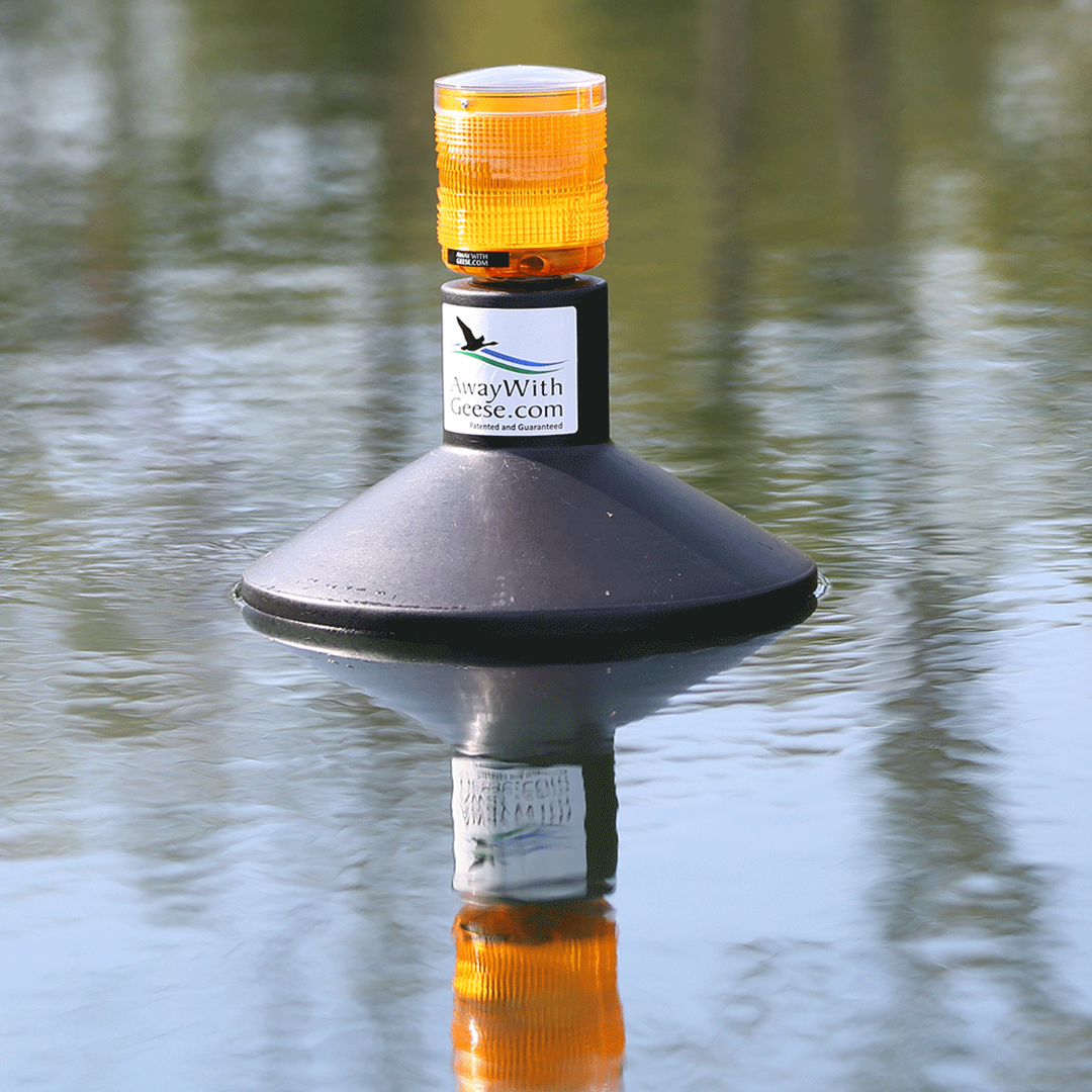 Geese Deterrent Lights | North Carolina | Pond Lake Management