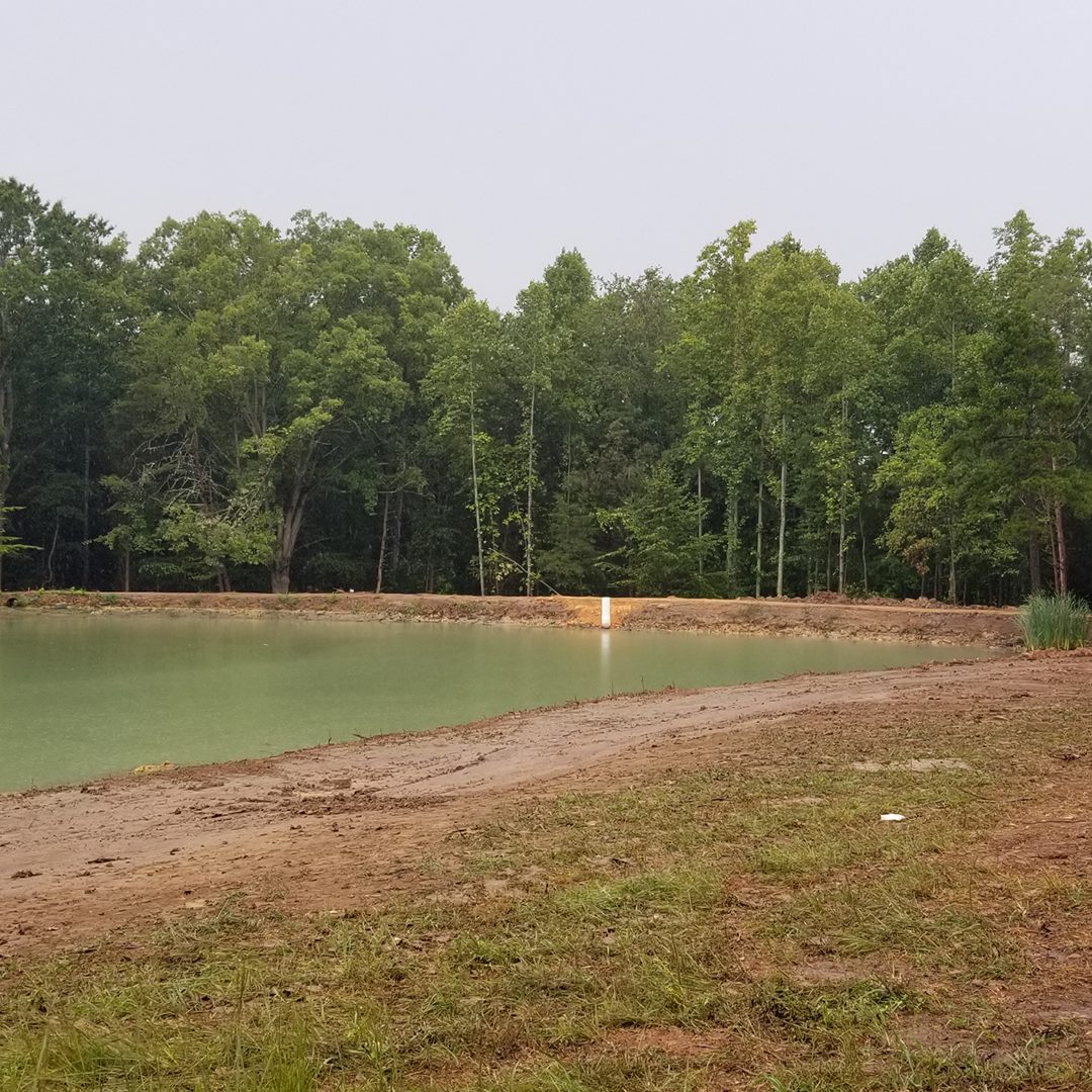 A Guide To Building A Pond In North Carolina | PLM