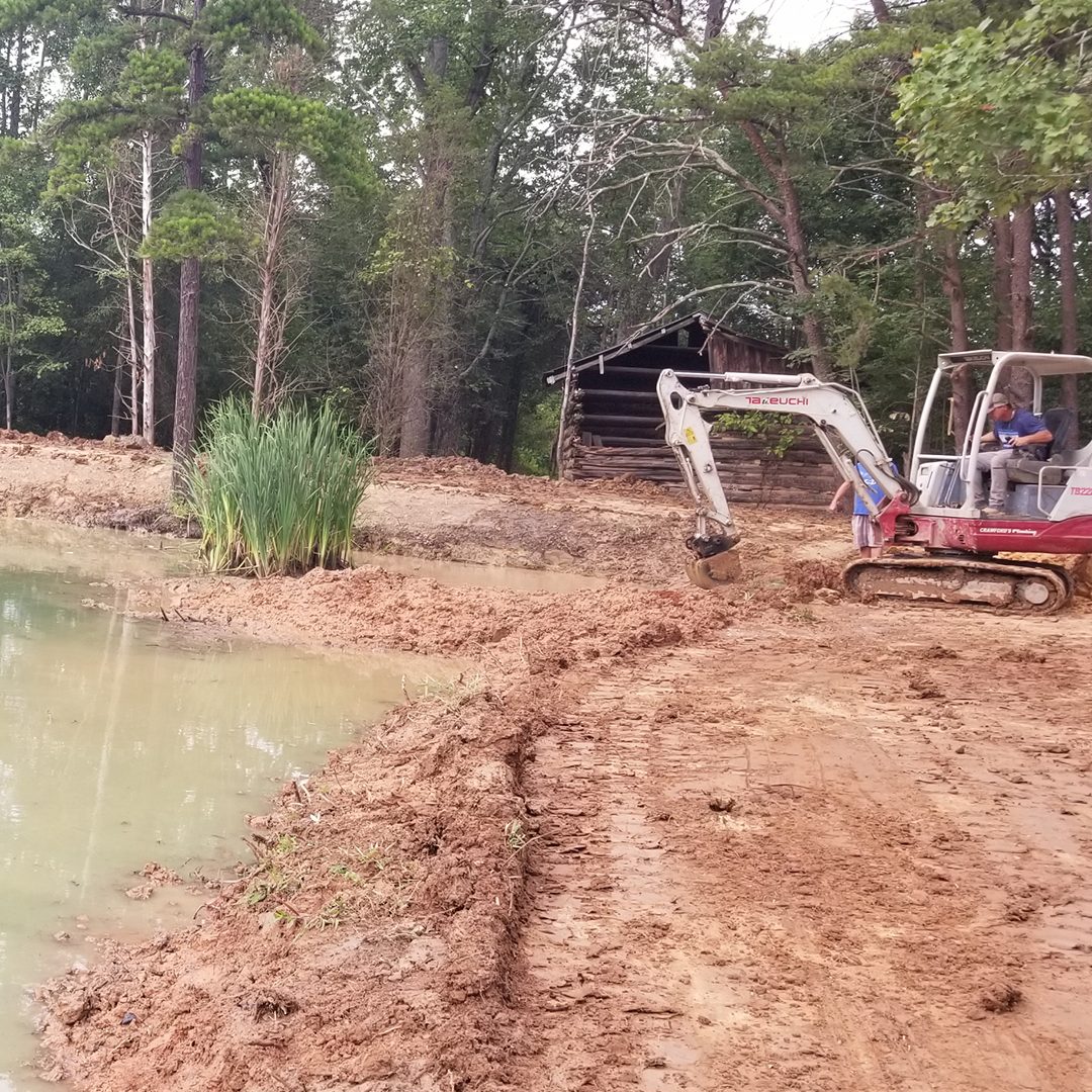 Add Fish And Plants To A New Pond? | Pond Lake Management